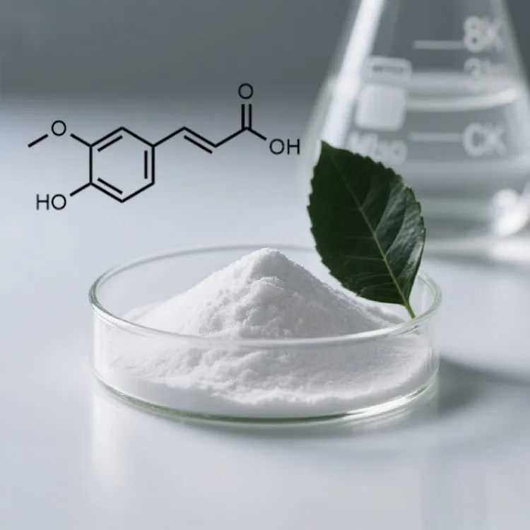 99% Pure ferulic acid powder manufacturers cncsbio
